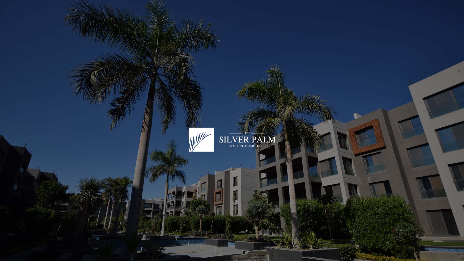 silver palm - TAW